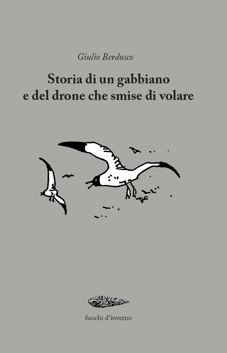 Storia di un gabbiano